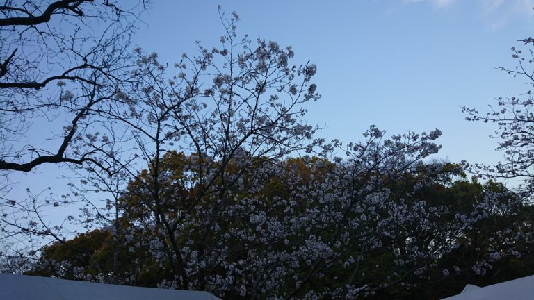 Pudding before praise | 高栄興業 株式会社 ｜ 宮崎のパチンコ&スロット「オーシャン」